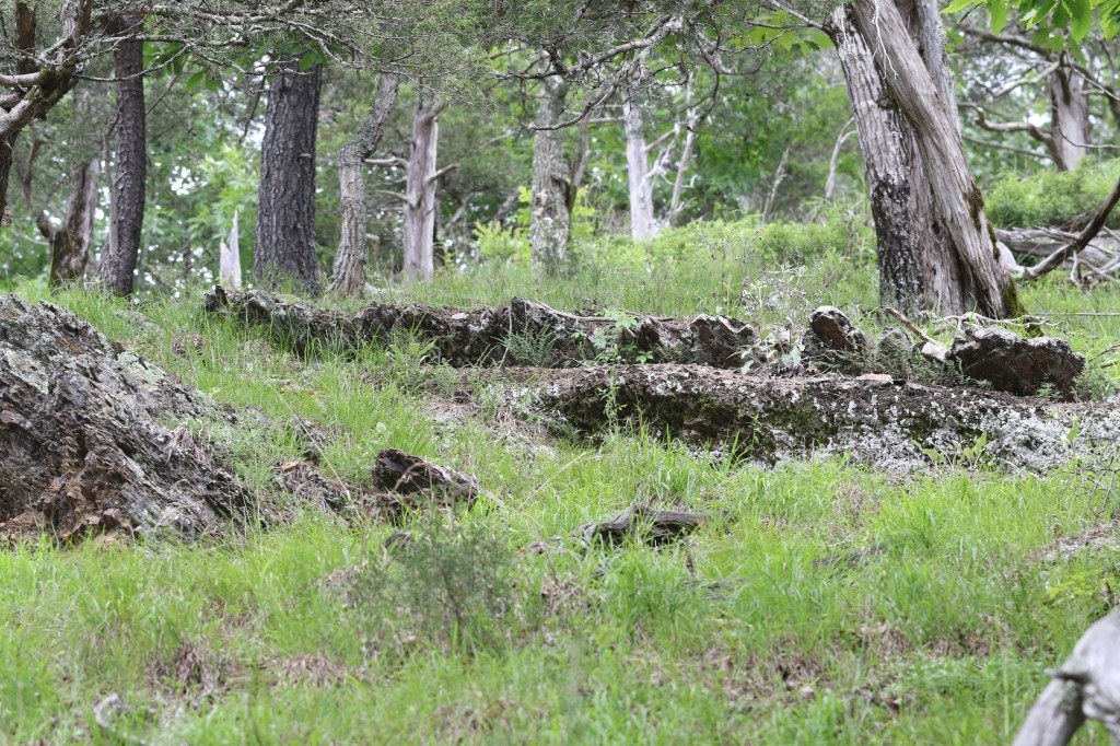 Exploring the Millboro Shale Formation: A Treasure Hunt for Endemic ...